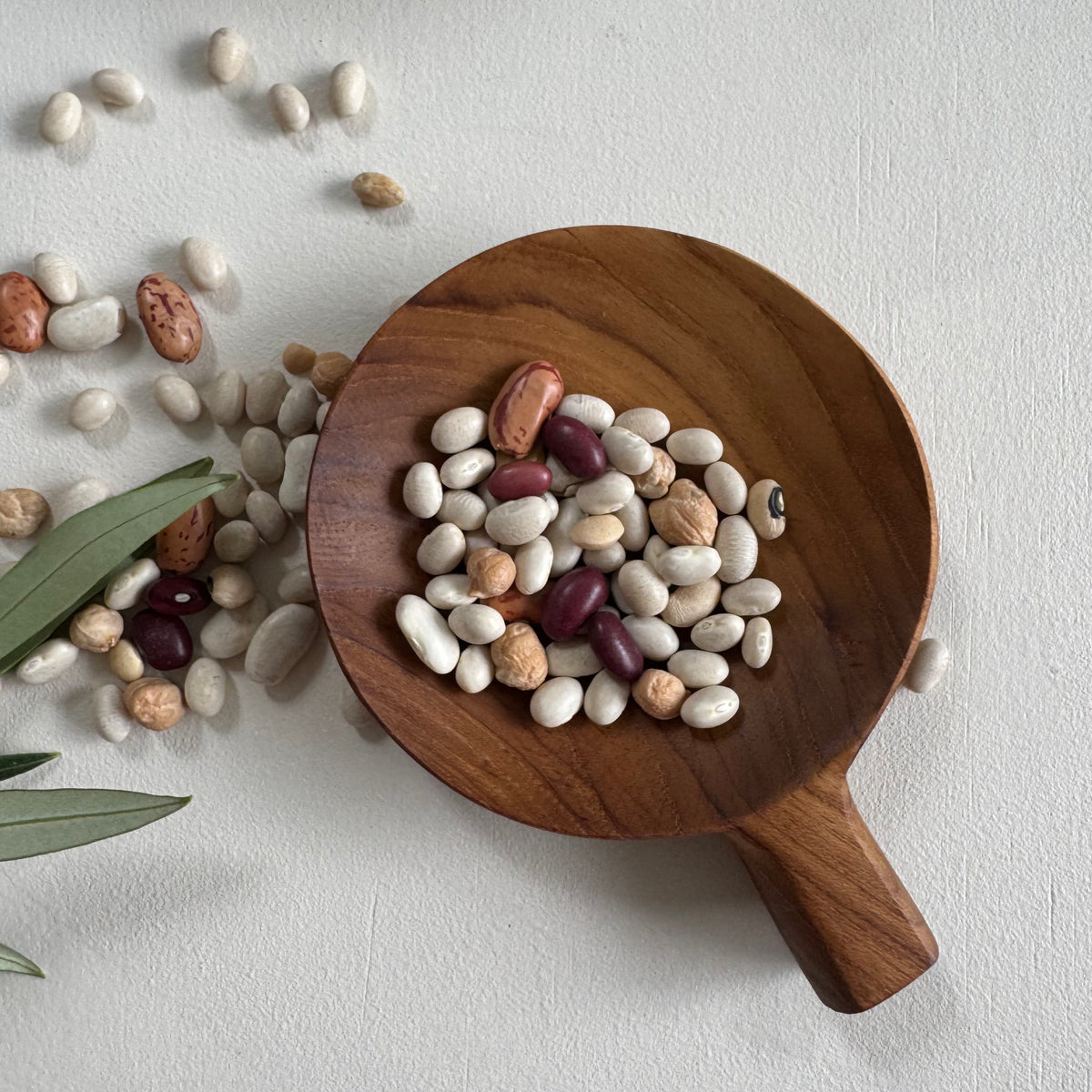 Moon Paddle Spoon | Little Wild & Green