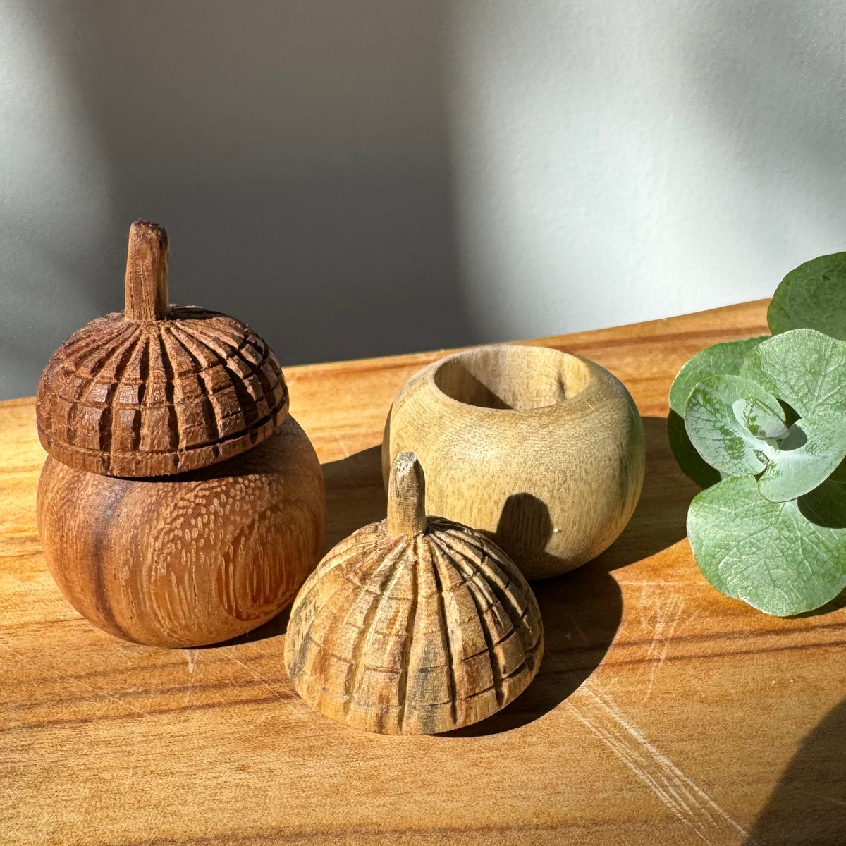 Acorn Pot (Small) | Little Wild & Green