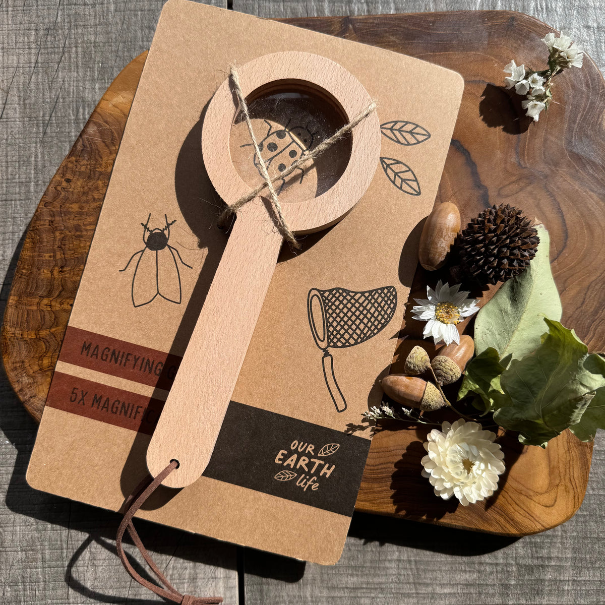 Wooden Magnifying Glass | Little Wild & Green