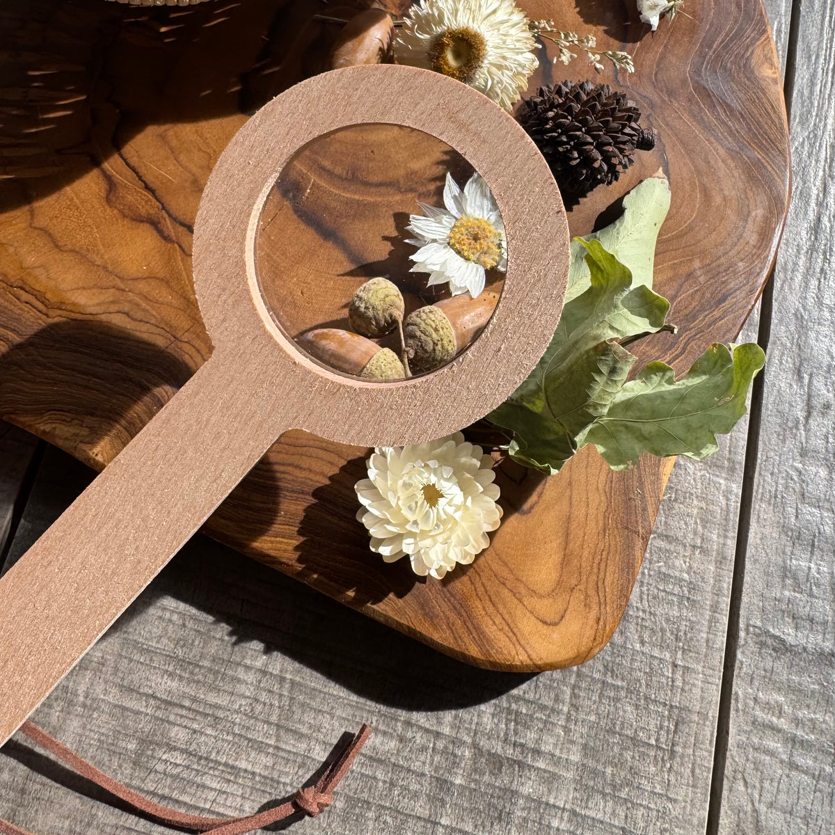 Wooden Magnifying Glass | Little Wild & Green