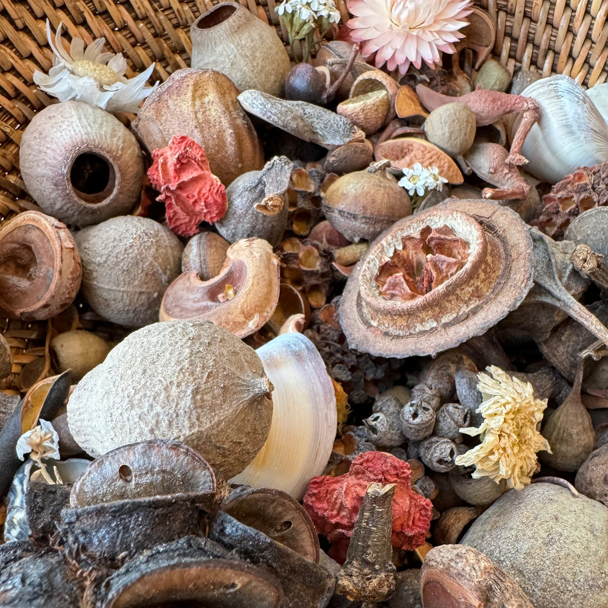 Australian Nature Play Mix | Little Wild & Green