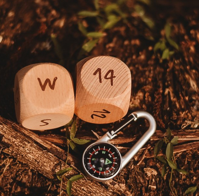 Compass Dice Game | Little Wild & Green
