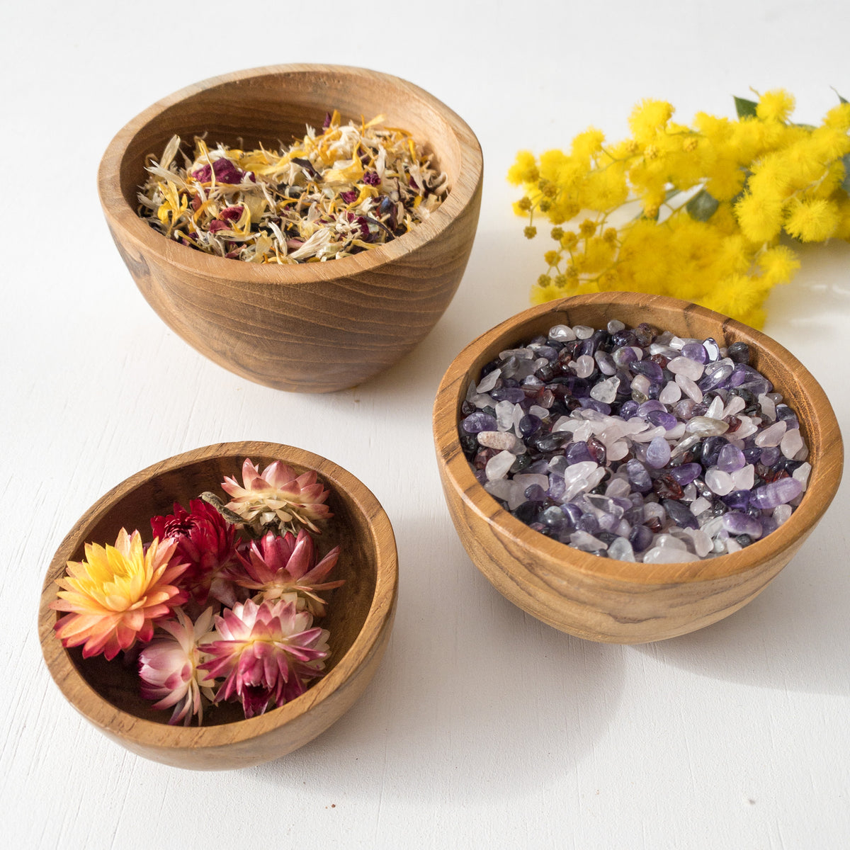 Baby Bowl Set 3-piece | Little Wild & Green